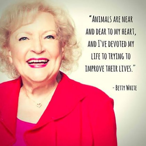 23 Best Betty White Quotes And Funny Memes In Celebration Of Her Life Yourtango